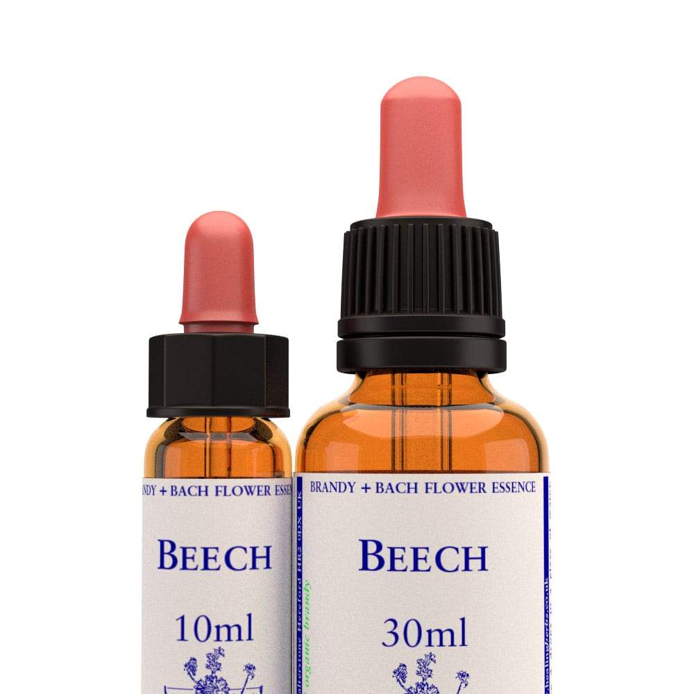 山毛櫸 Beech – Bach Asia (Taiwan)